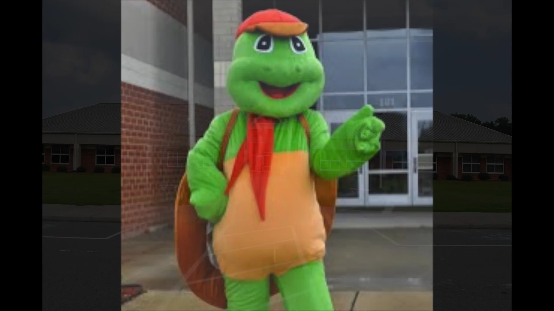 Turtle TV, Thursday, May 30, 2024