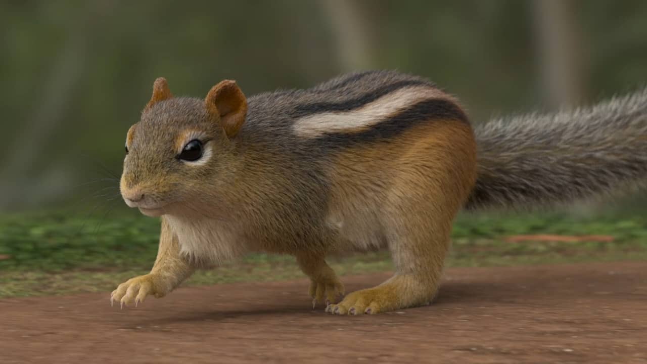 Houdini Fur Lookdev | Render 04 on Vimeo