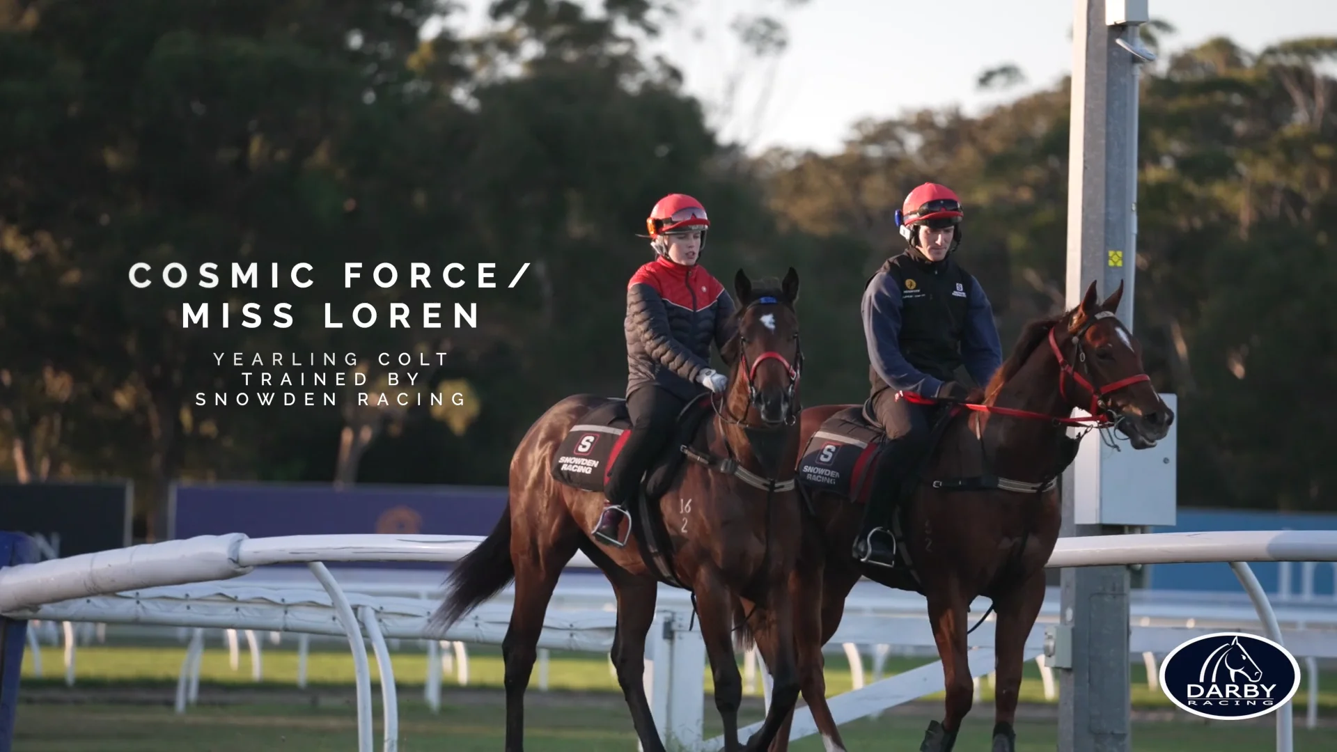 Cosmic Force x Miss Loren colt update 24.5.2024