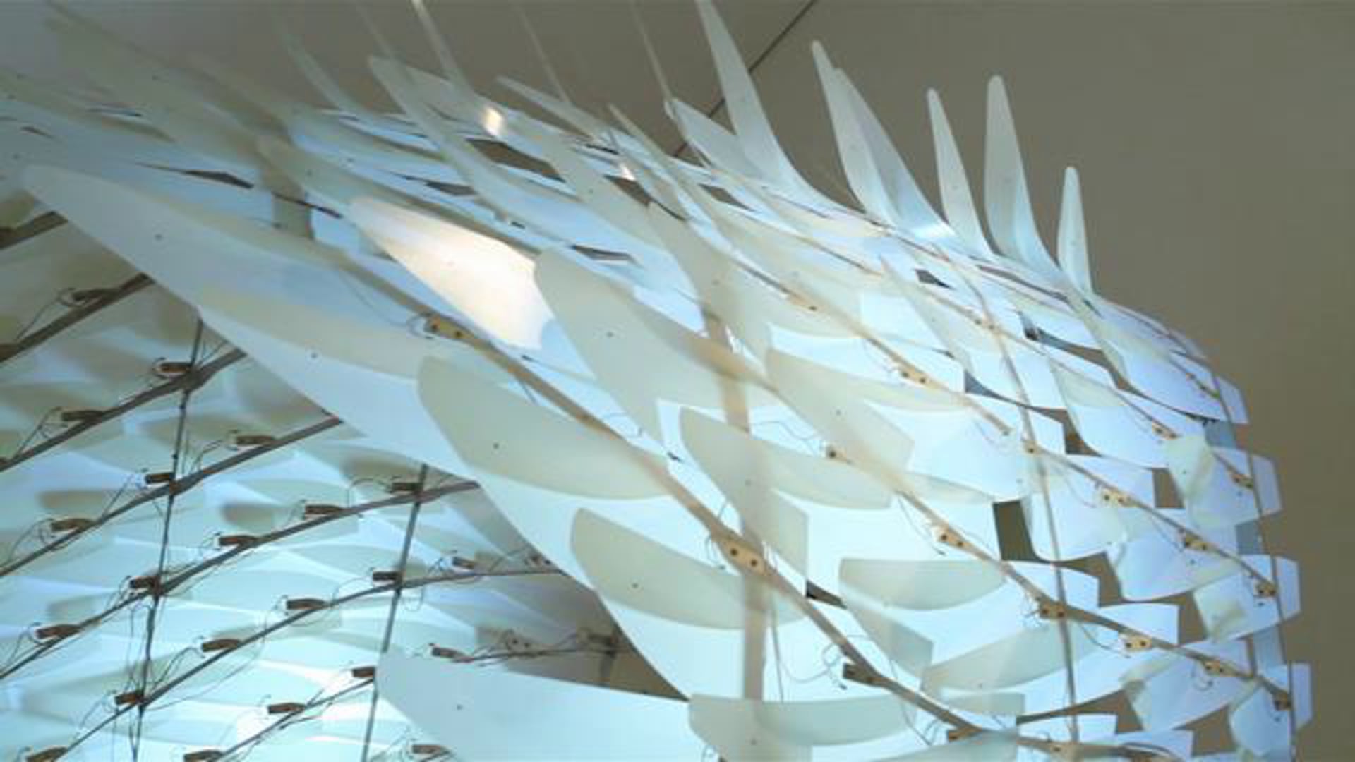 Reef | Rob Ley Studio