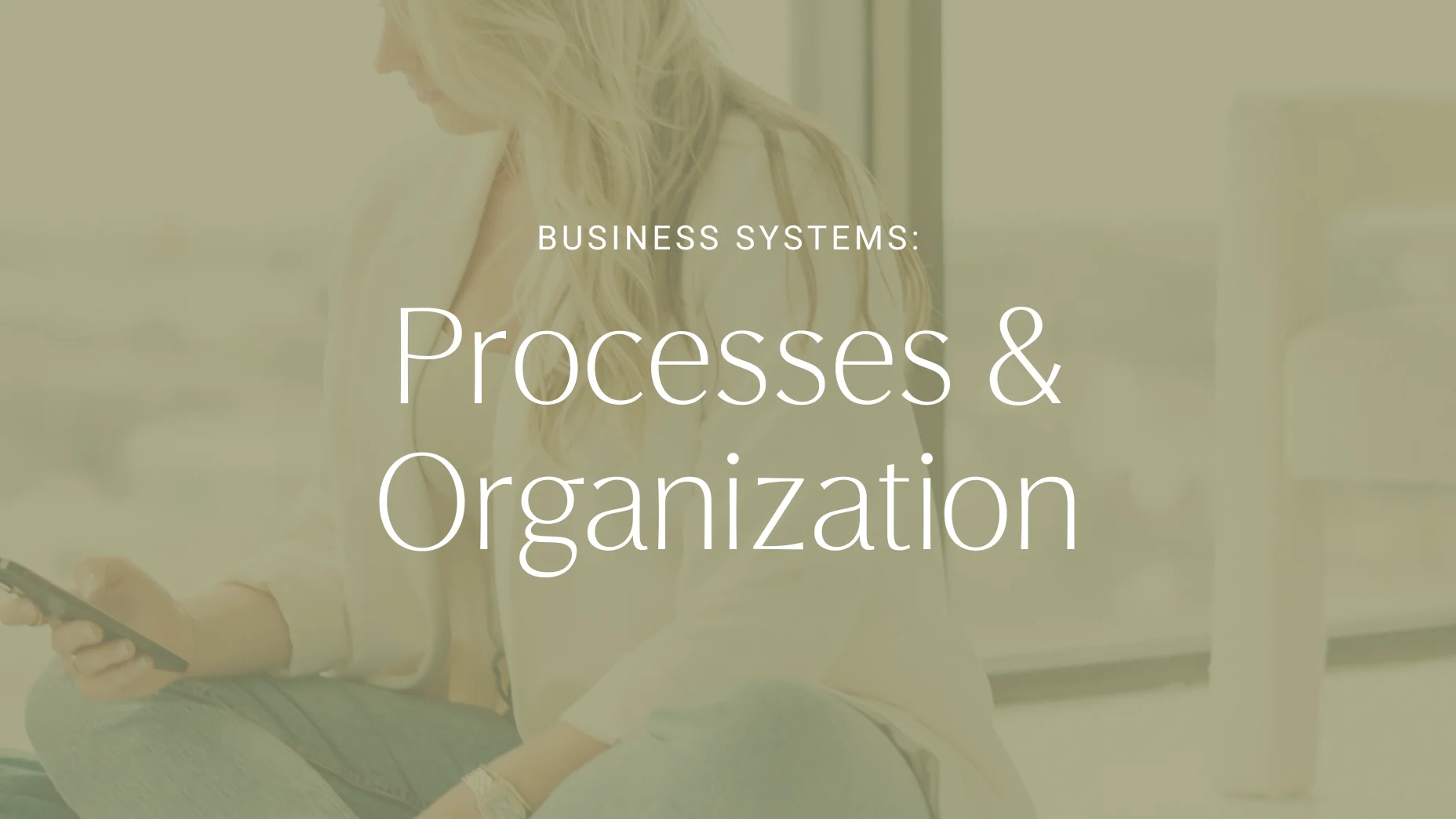 Business Systems: Processes & Organization on Vimeo