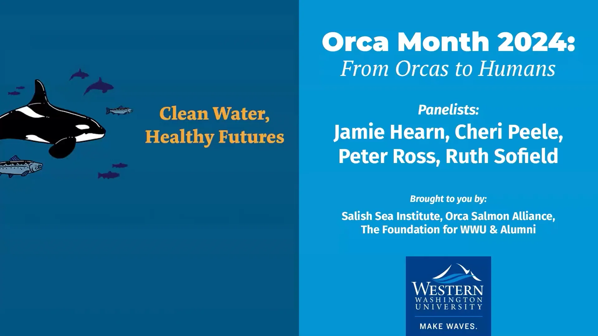 Orca Month 2024: From Orcas to Humans