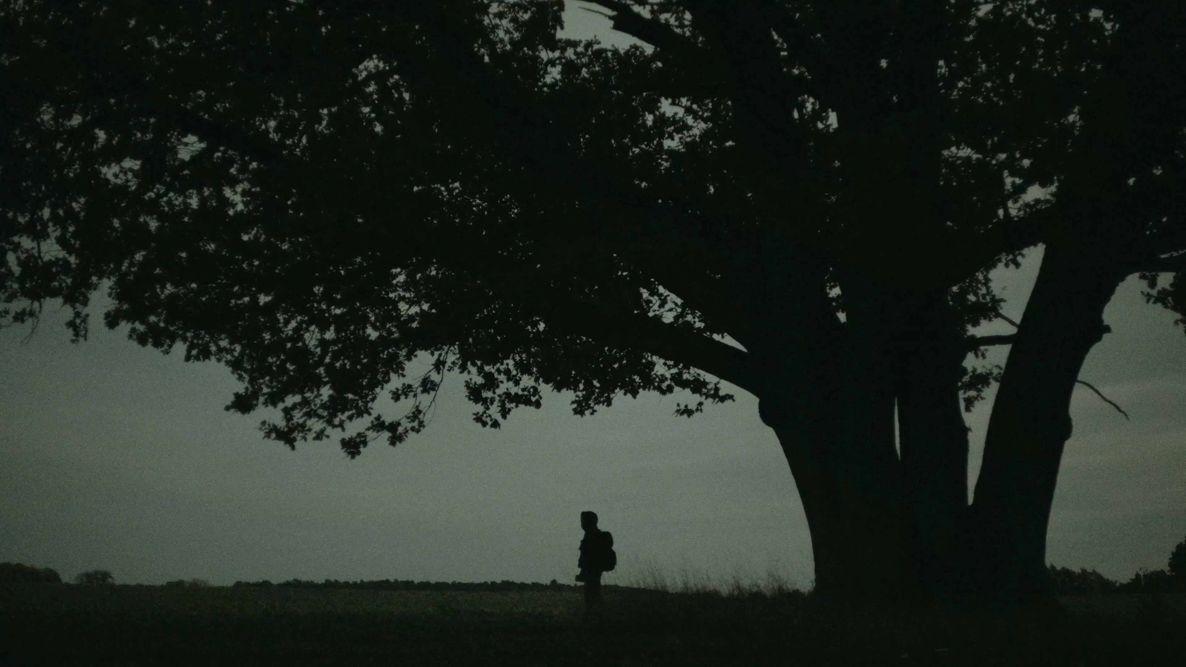 Philipp Johann Thim //LAST DROPS (Official Video-Part 1/2) in Beyond ...