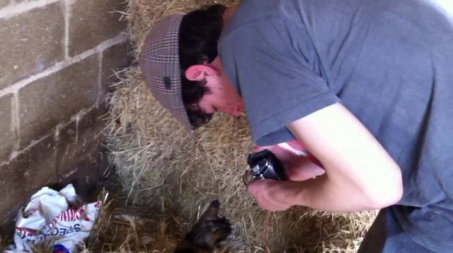 Playing With Kittens on Vimeo