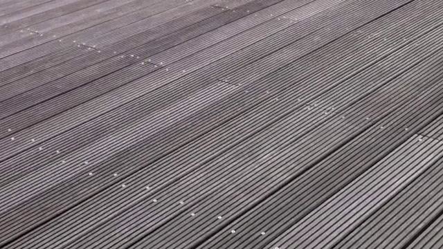 Animaris Ordis Parvus at Silodam on Vimeo