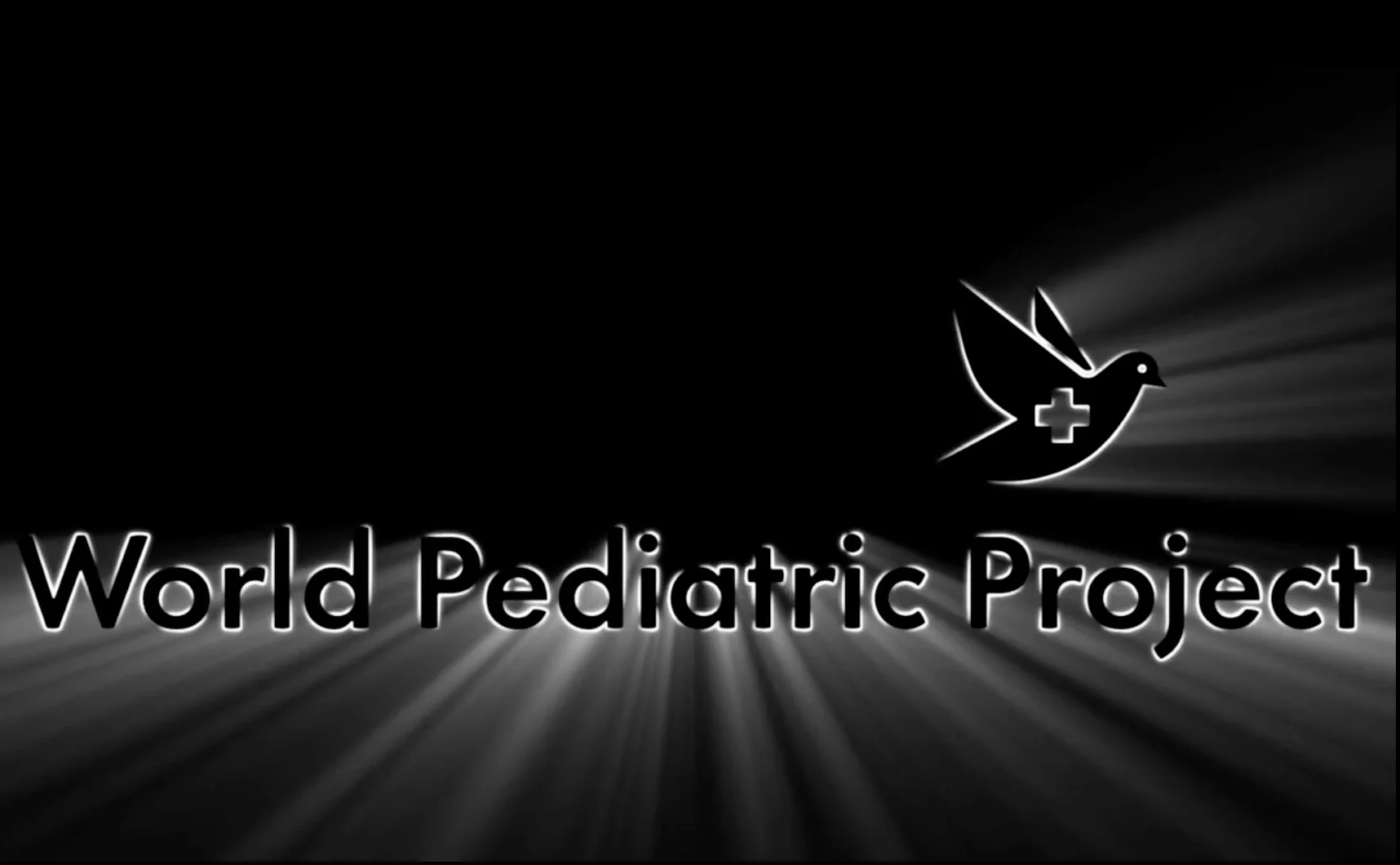 World Pediatric Project - Fundraising Gala @Dover_Hall