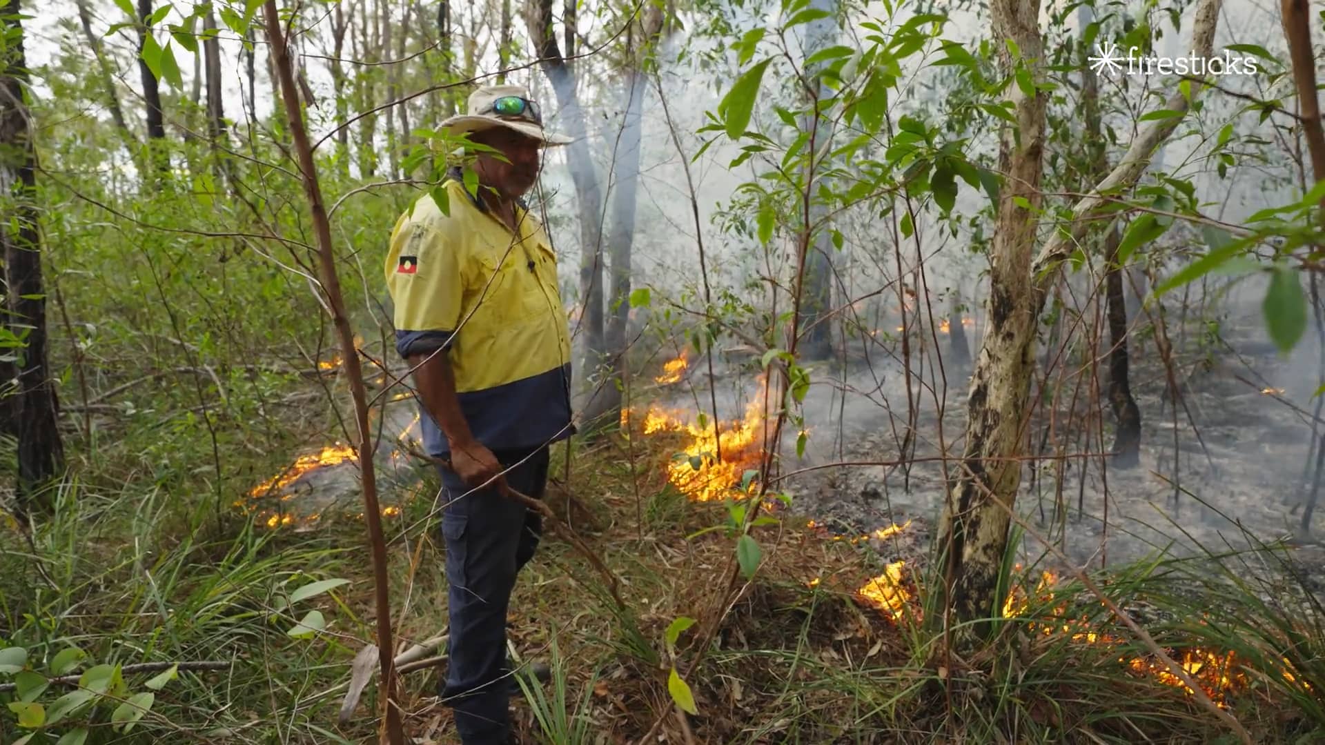 Four months after a Cultural Burn on Worimi Country – a Fire ...