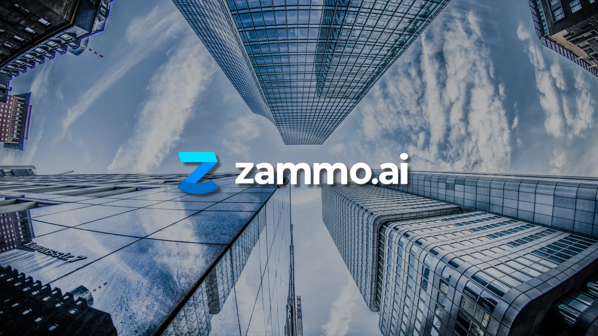 Zammo Informational Video