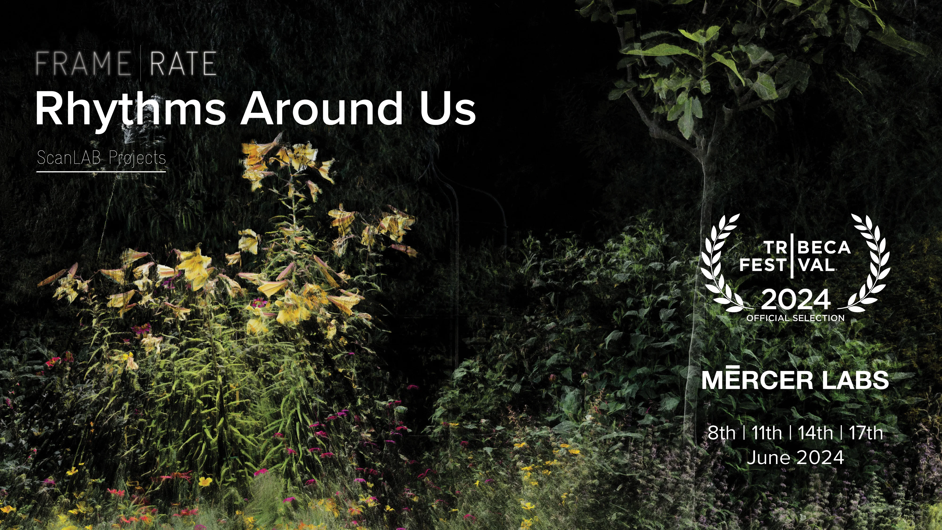 FRAMERATE: Rhythms Around Us, Tribeca Festival x Mercer Labs