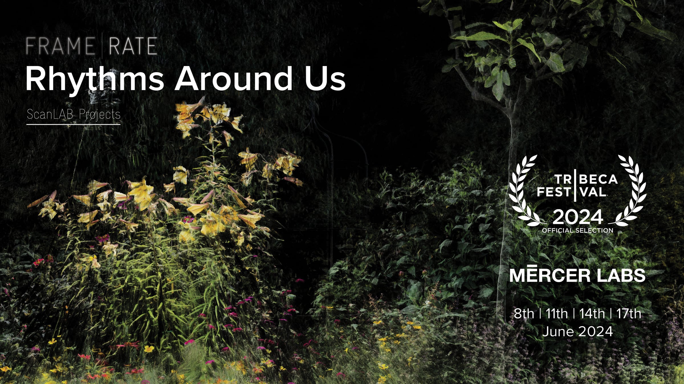 FRAMERATE: Rhythms Around Us, Tribeca Festival x Mercer Labs