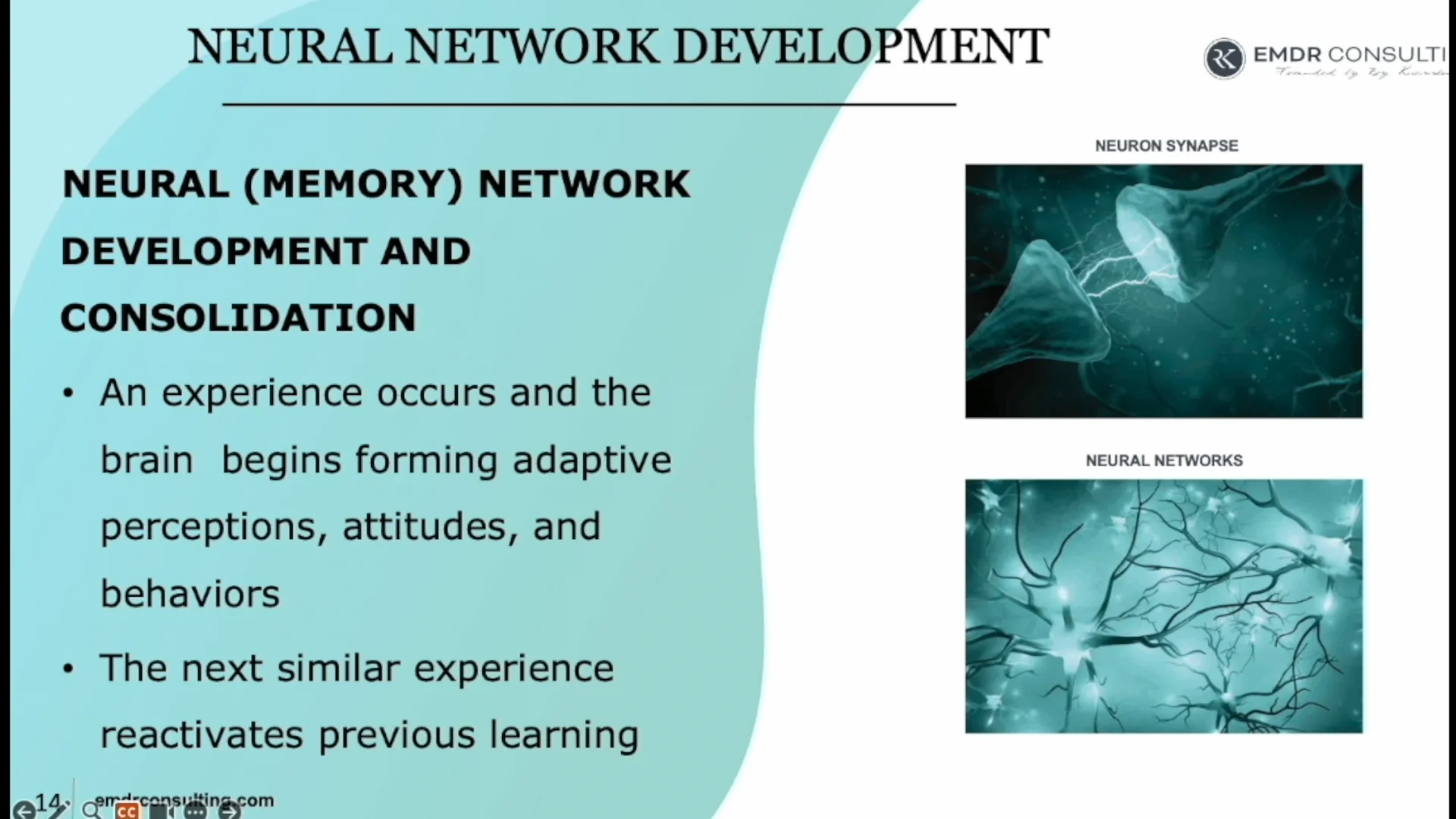 NEURAL NETWORK DEVELOPMENT - NEURAL NETWORK DEVELOPMENT on Vimeo