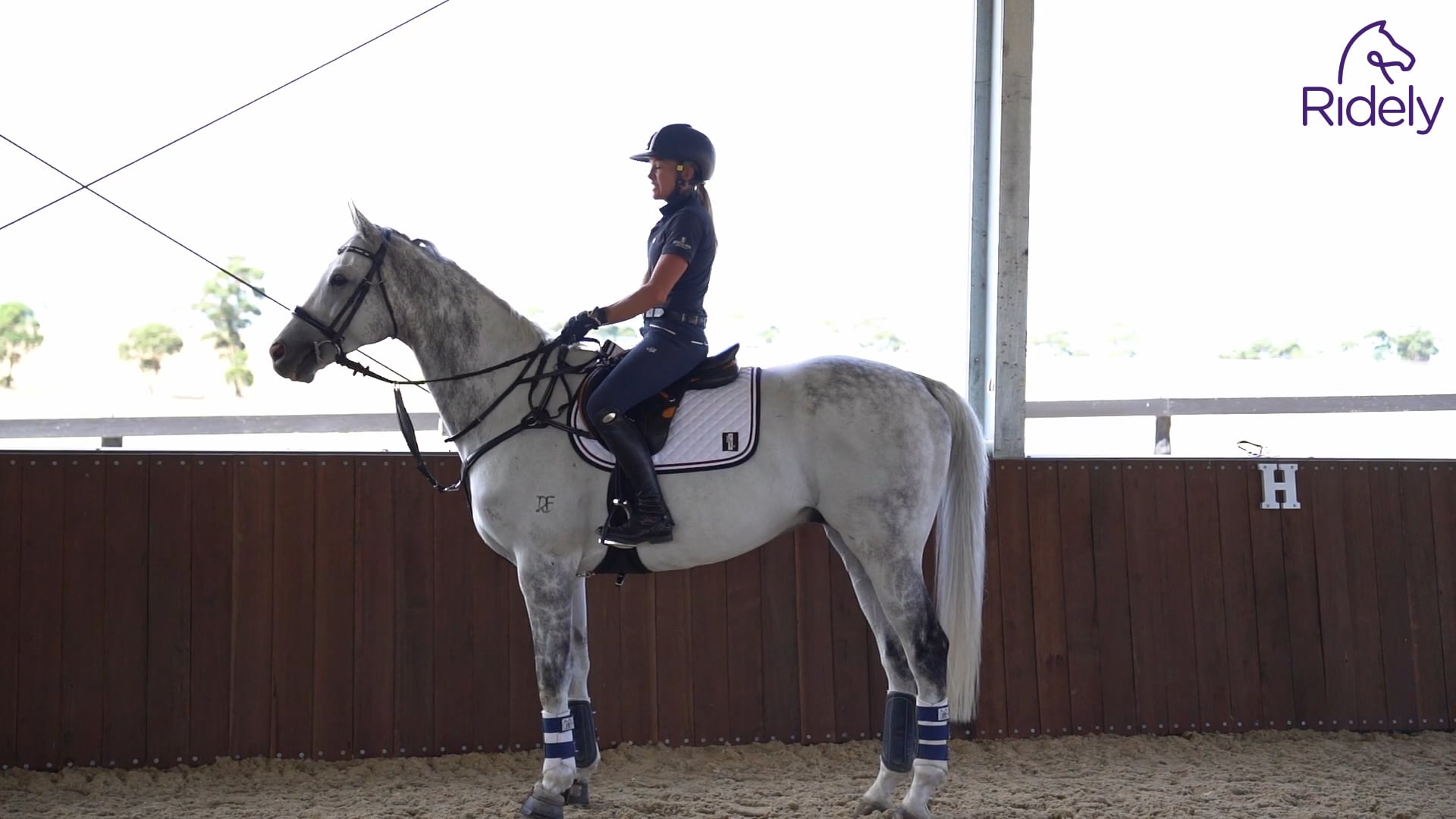 Basic Walk Exercises | Ridely