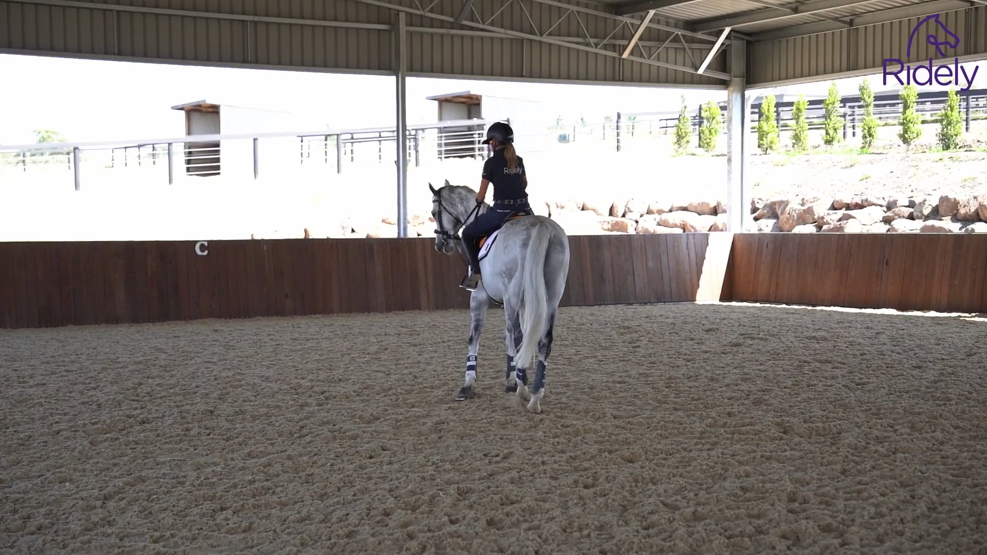 Introducing Leg Yield in Walk | Ridely