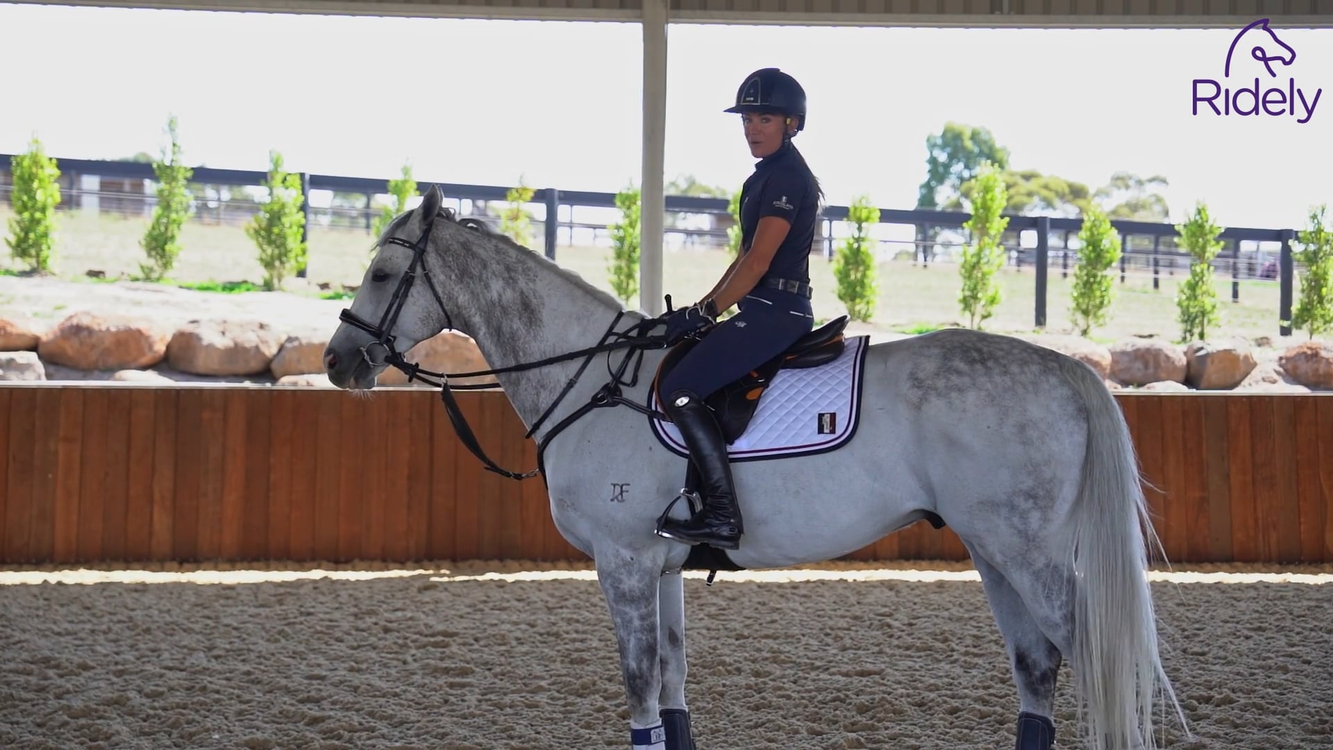 Half Halts and Gear Changes | Ridely