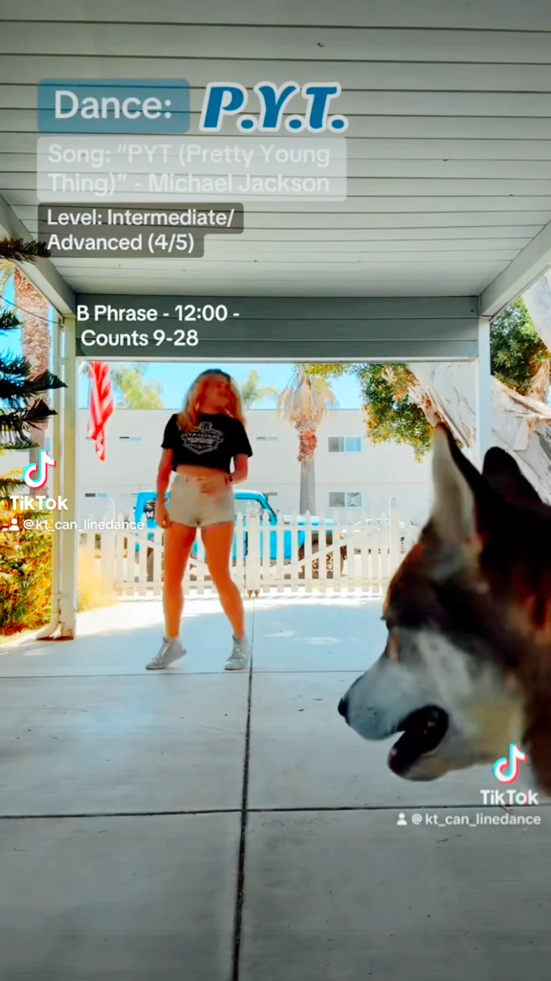 PYT Walkthrough on Vimeo