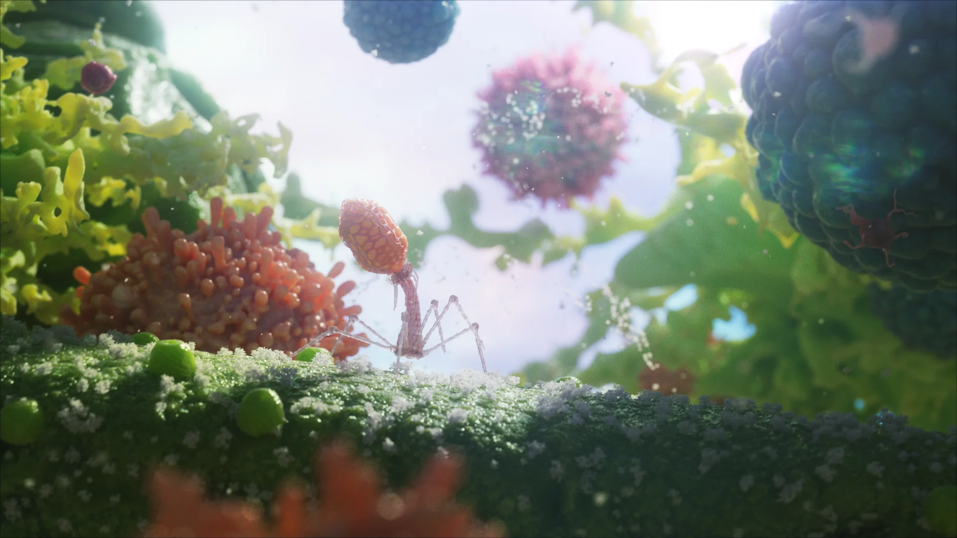 Bacteriophage medical 3D animation