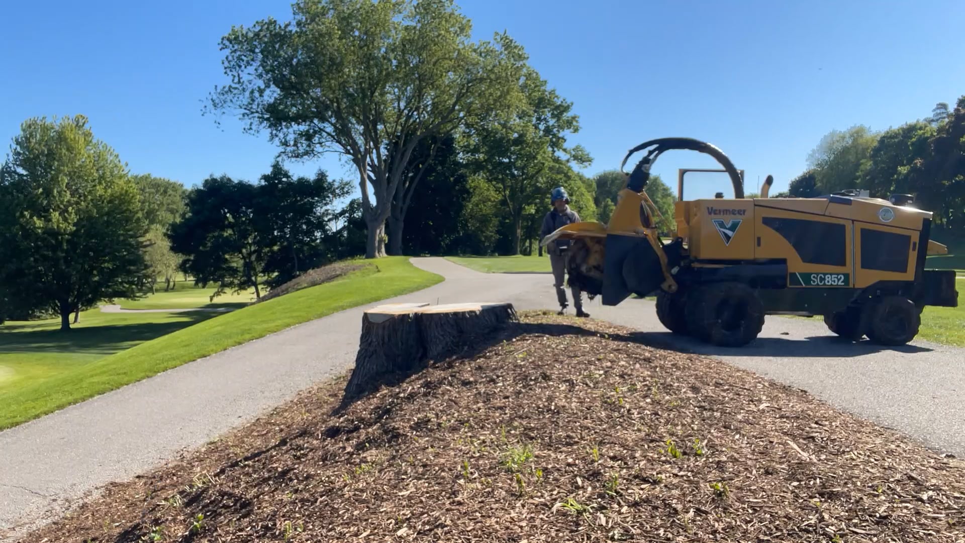 About Professional Stump Grinders