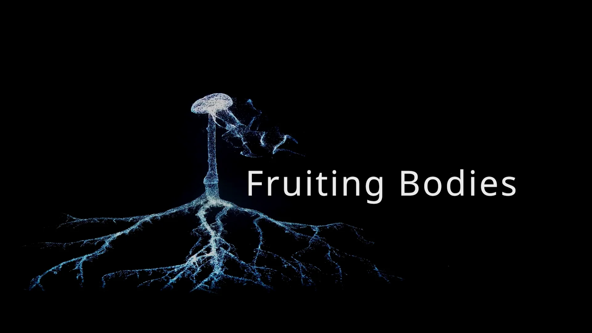 Fruiting Bodies - Jessica Reisch