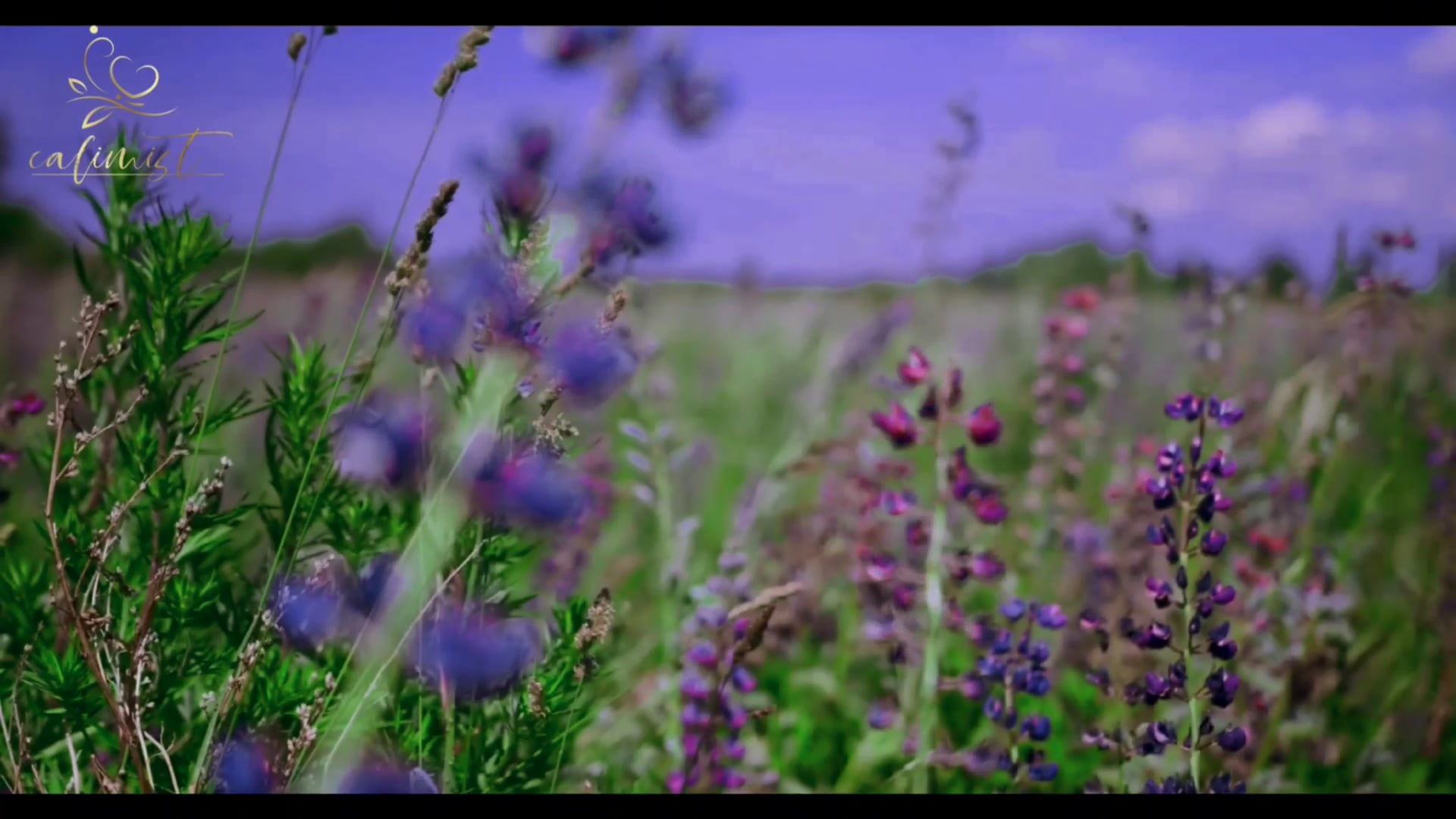 Essential Oils and Raw Materials Global Wholesale and Trade ...