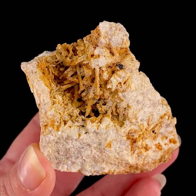 Andalusite coated by Pyrophyllite | Snow Camp Mine (Holman's Mill Mine ...
