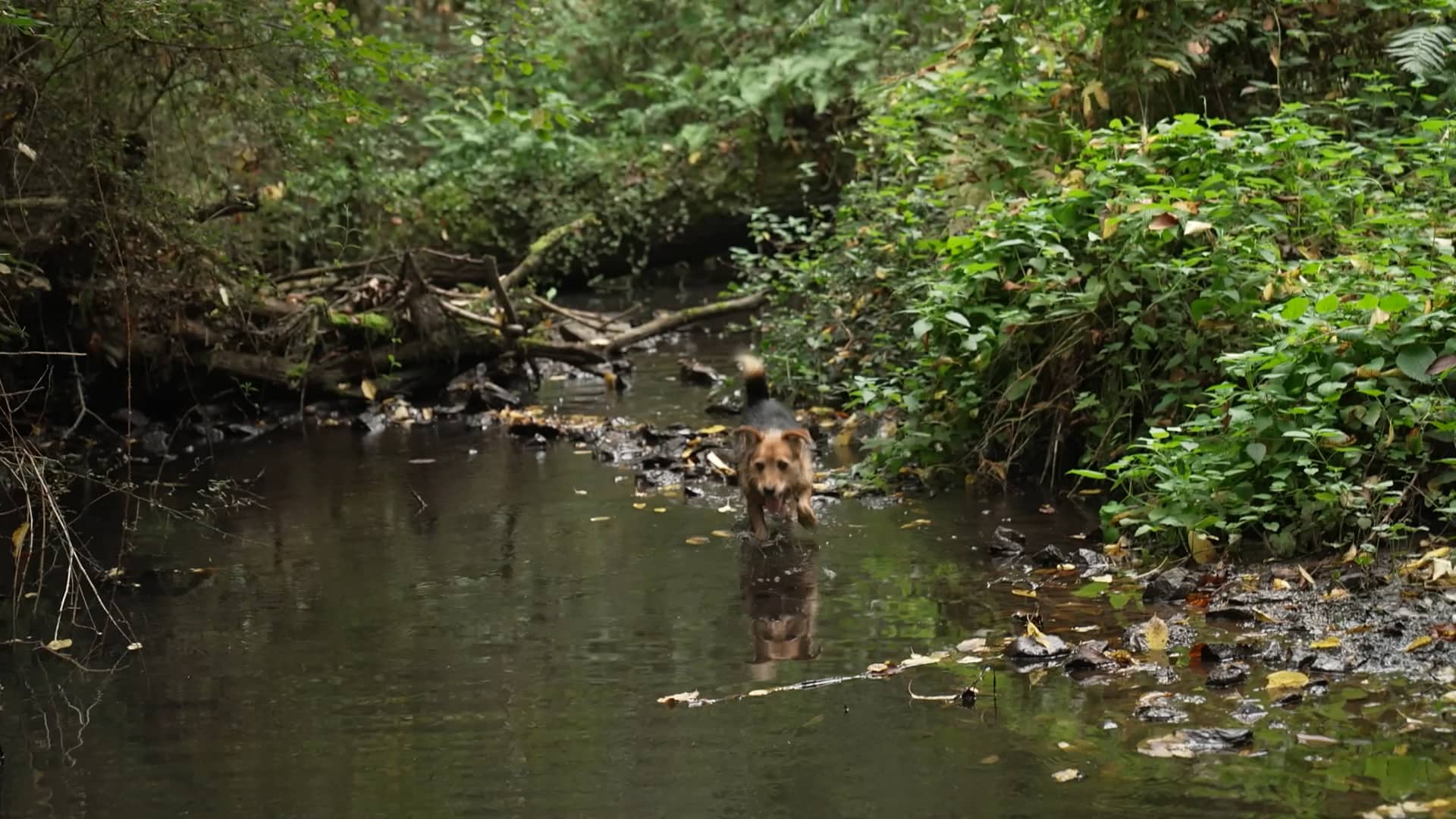 Vidéo Officielle Fédération Française de Naturisme Randonue Juin 2024 ...