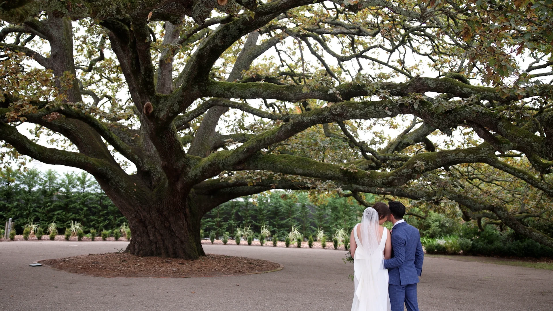 Allison + Tim on Vimeo