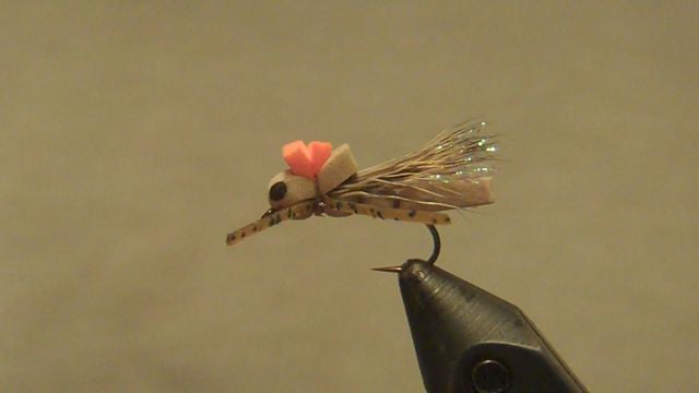 Fly Tying Session: GFA Foam Hopper on Vimeo