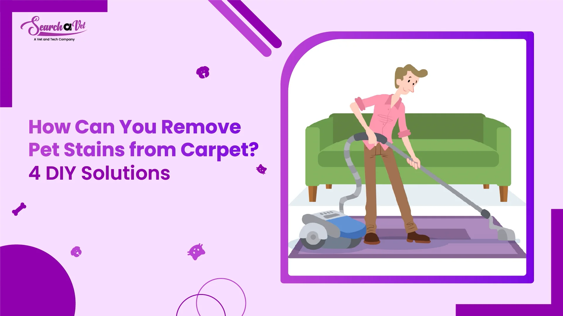 How Can You Remove Pet Stains from Carpet