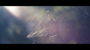 Short Films on Vimeo