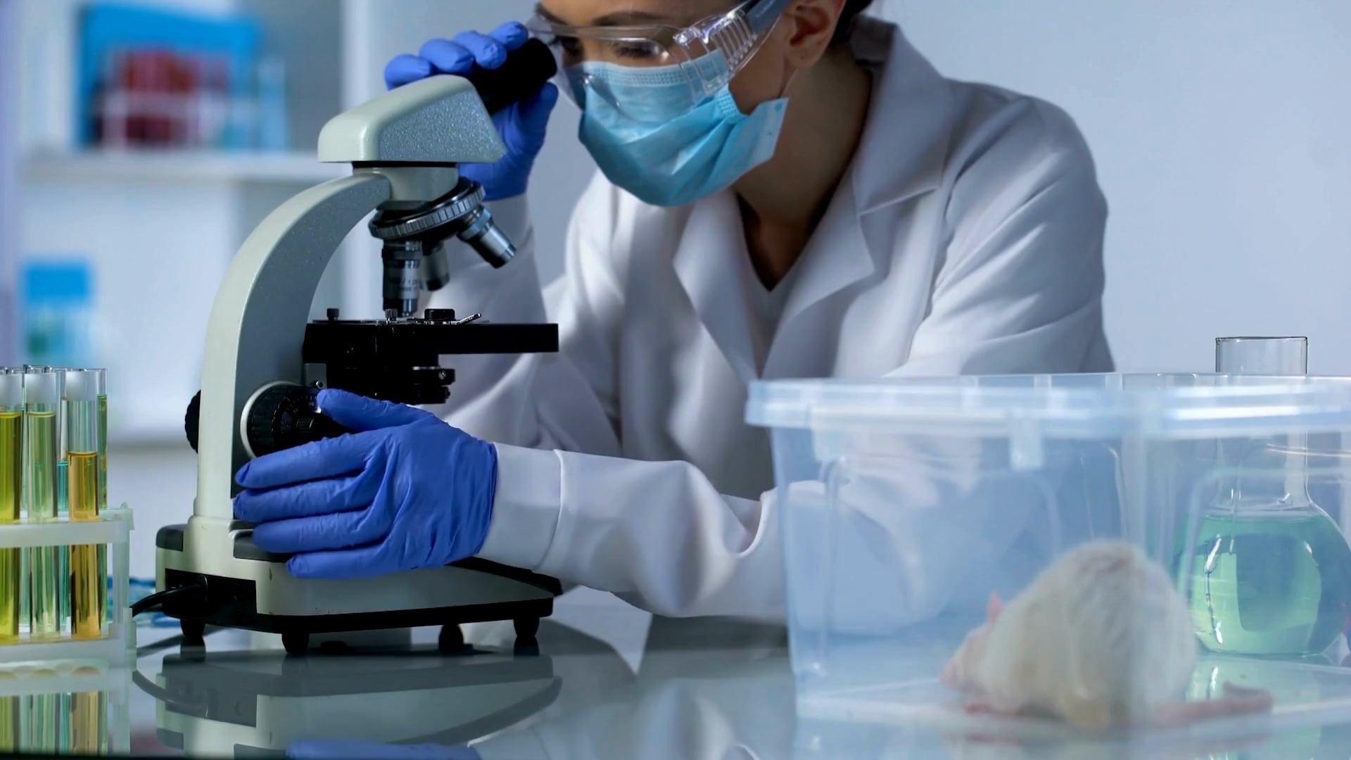 PROBr- Be Part of the Discovery