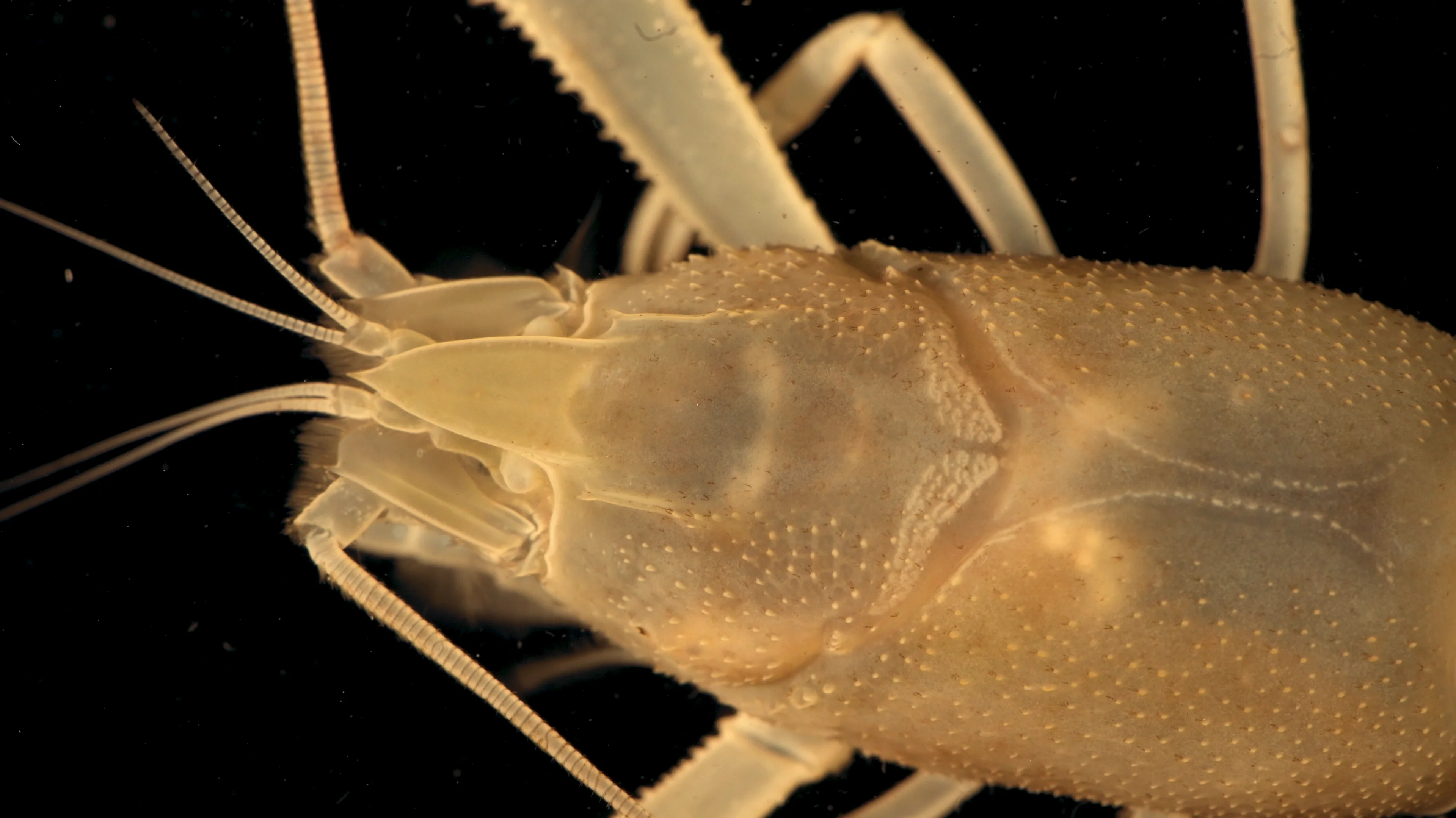 VINV004-055 on Vimeo