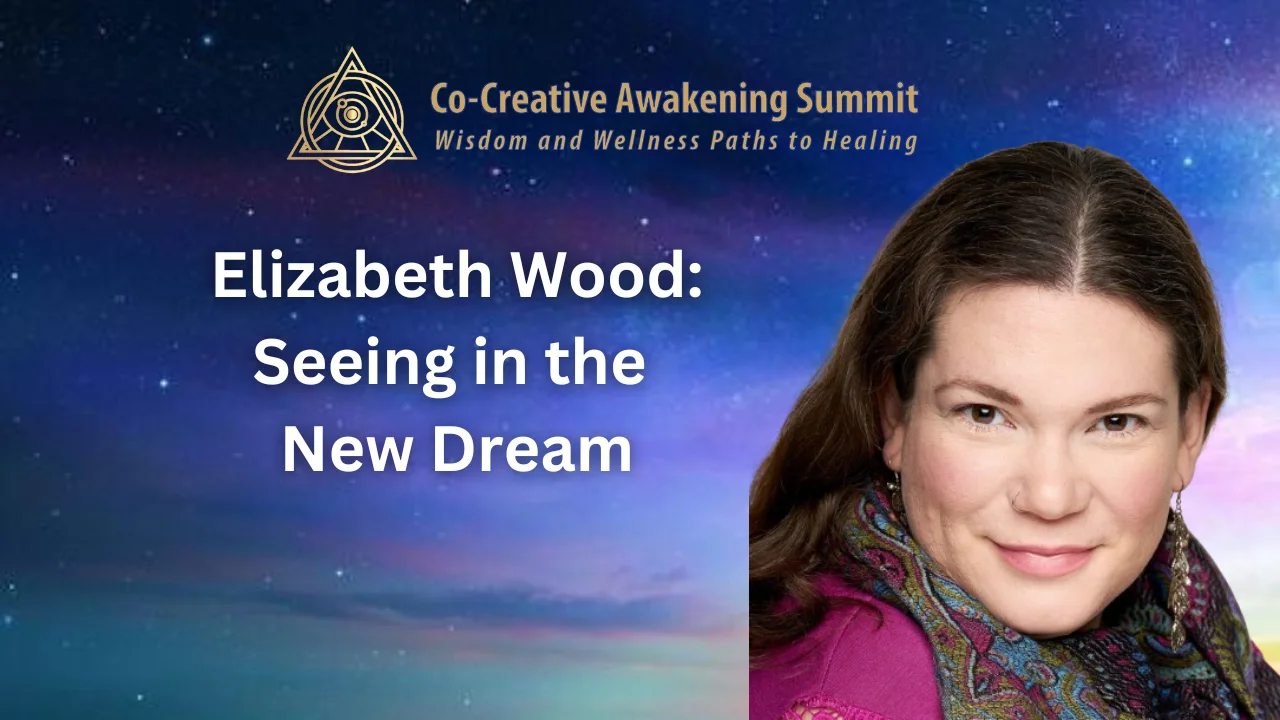 Elizabeth Wood on Vimeo