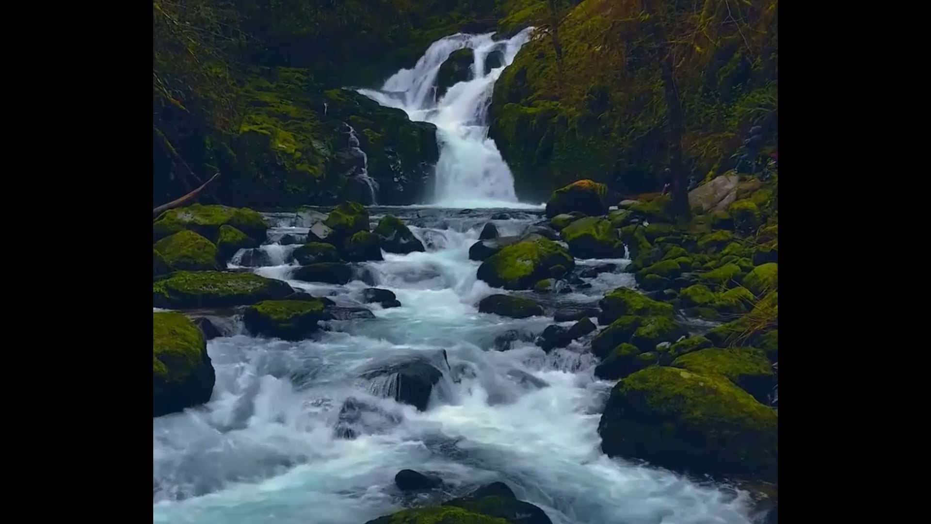 Southern + Associates Christian Counseling in Gadsden, Alabama