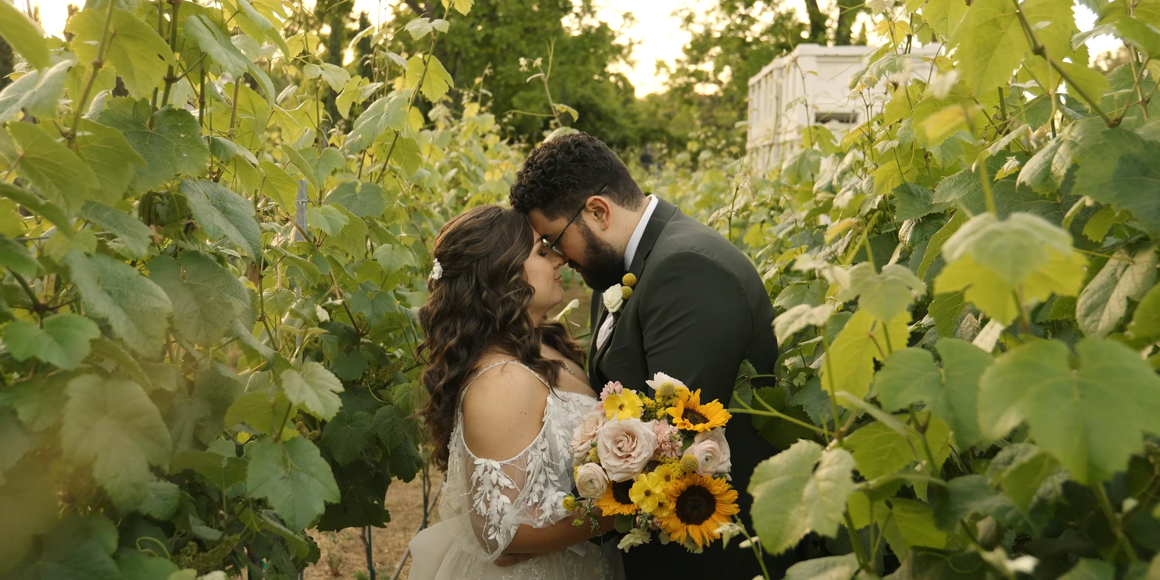 Ryan & Taylor - Highlight