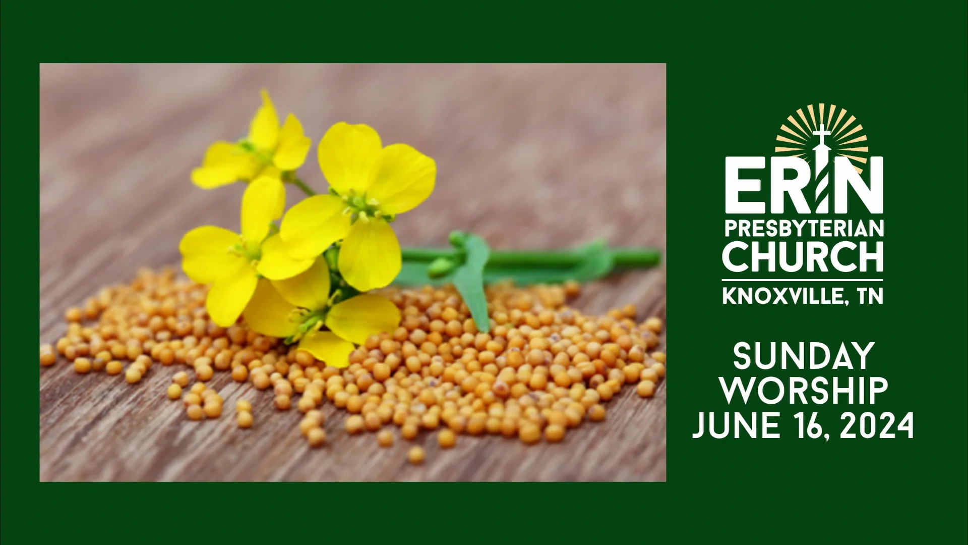 Worship at Erin - Sunday, June 16, 2024 on Vimeo