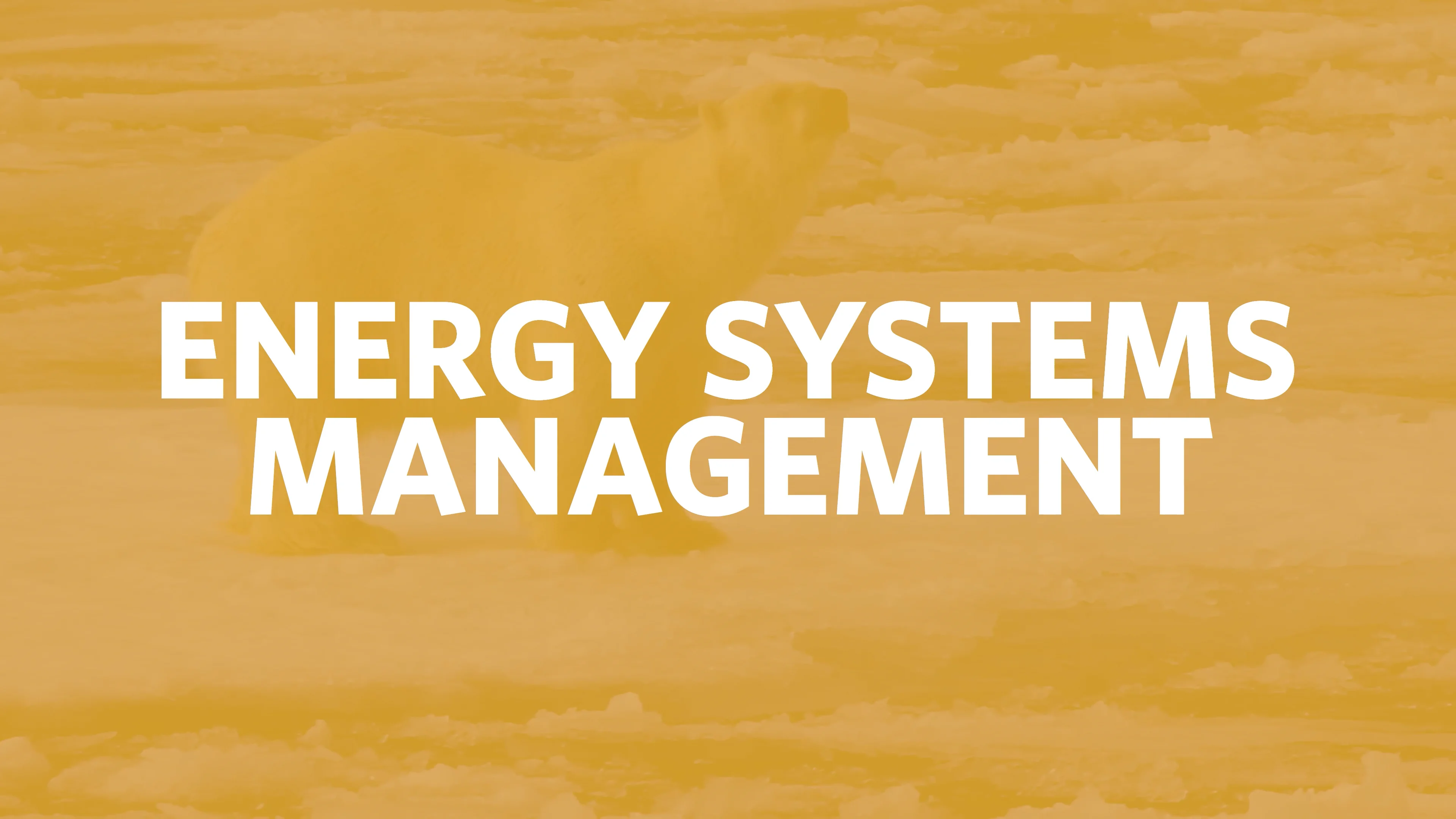MS Energy Systems Management - USF College of Arts and Sciences on Vimeo
