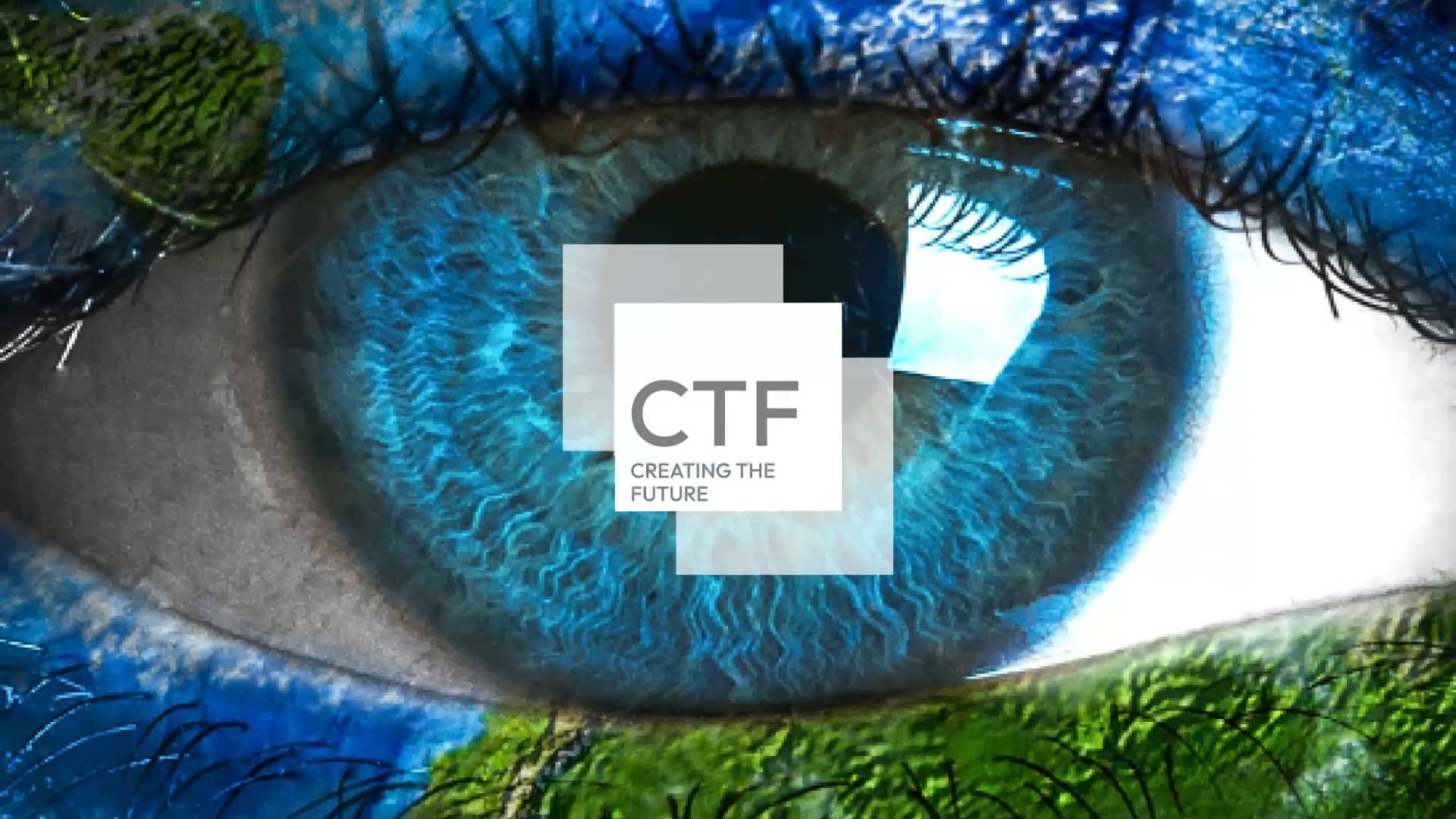 CTF - The Value of Health - Sabine Donnai on Vimeo