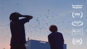 The Vimeo Short Film Channel on Vimeo