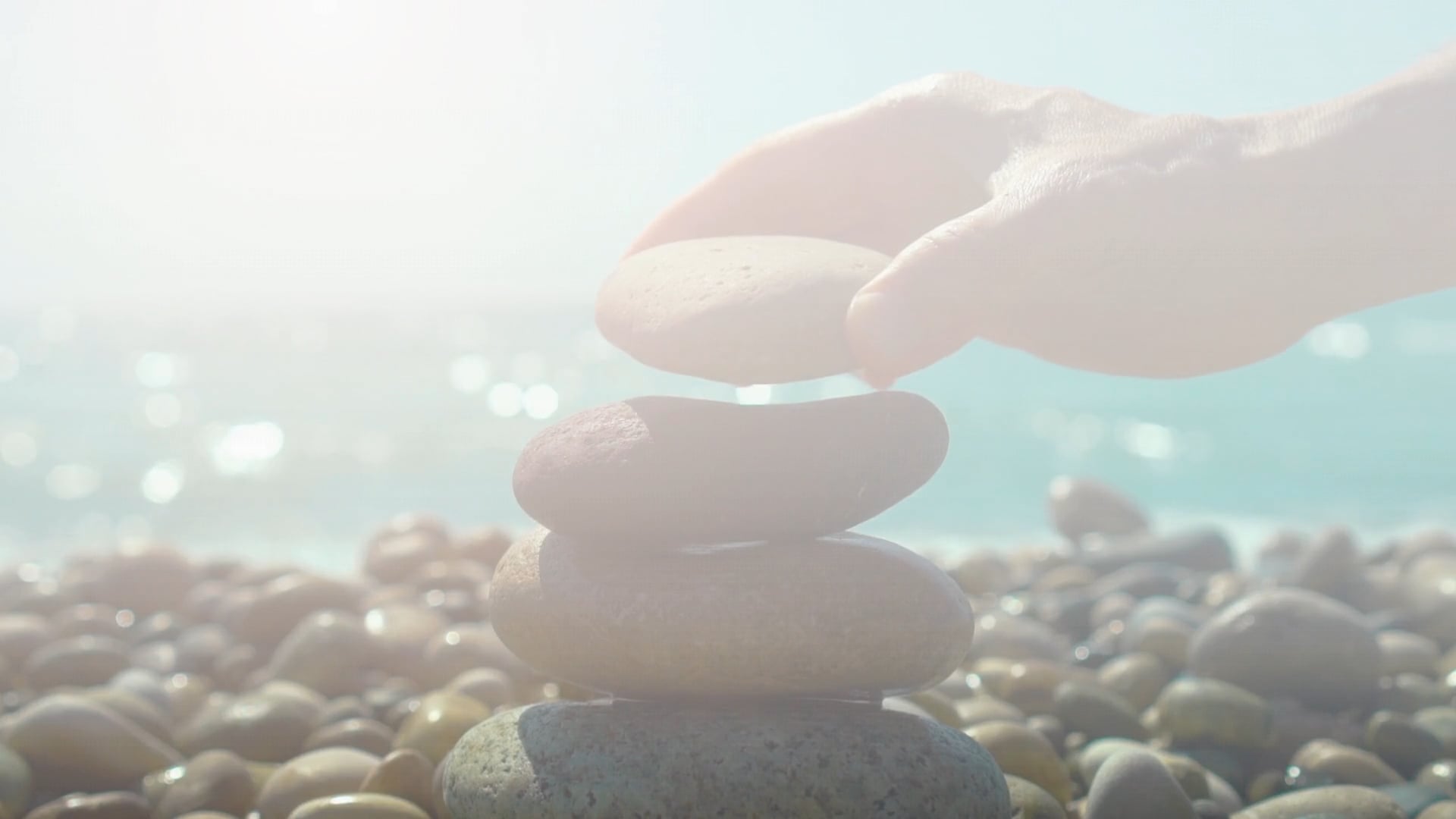 The Balanced Path Wellness Center