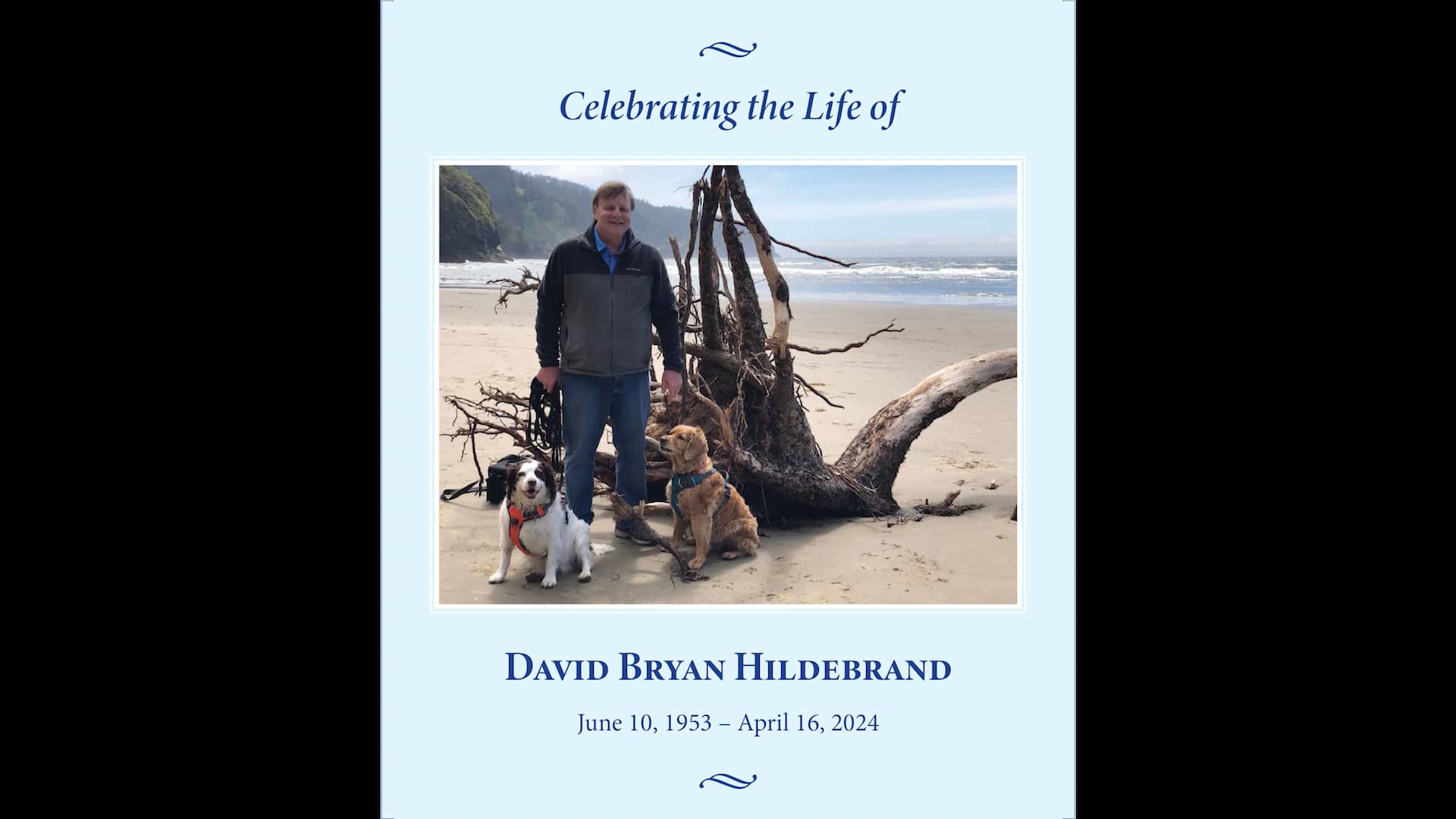 The Life of David Hildebrand on Vimeo