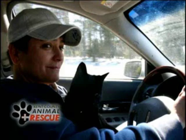 Kent County Animal Rescue TV show: Episode 1 on Vimeo