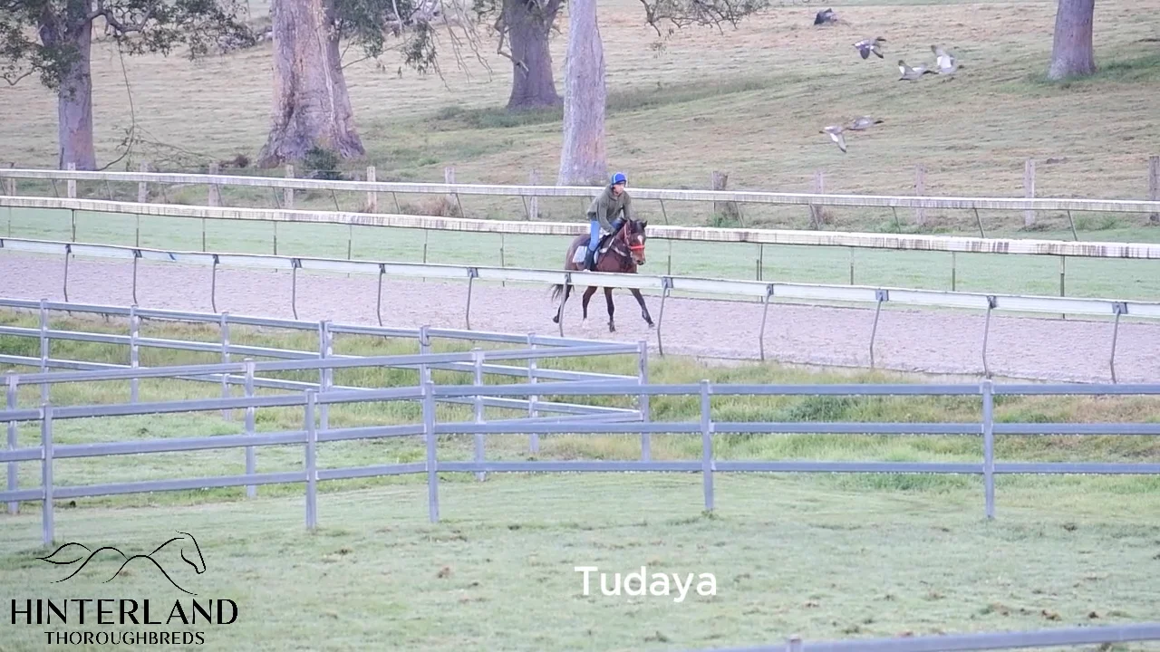 Tudaya on Vimeo
