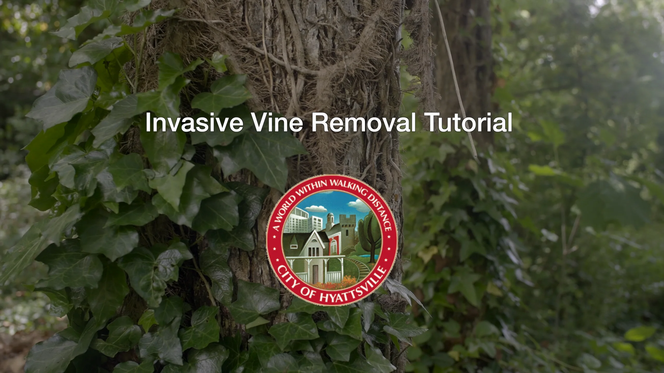 Invasive Removal Tutorial on Vimeo