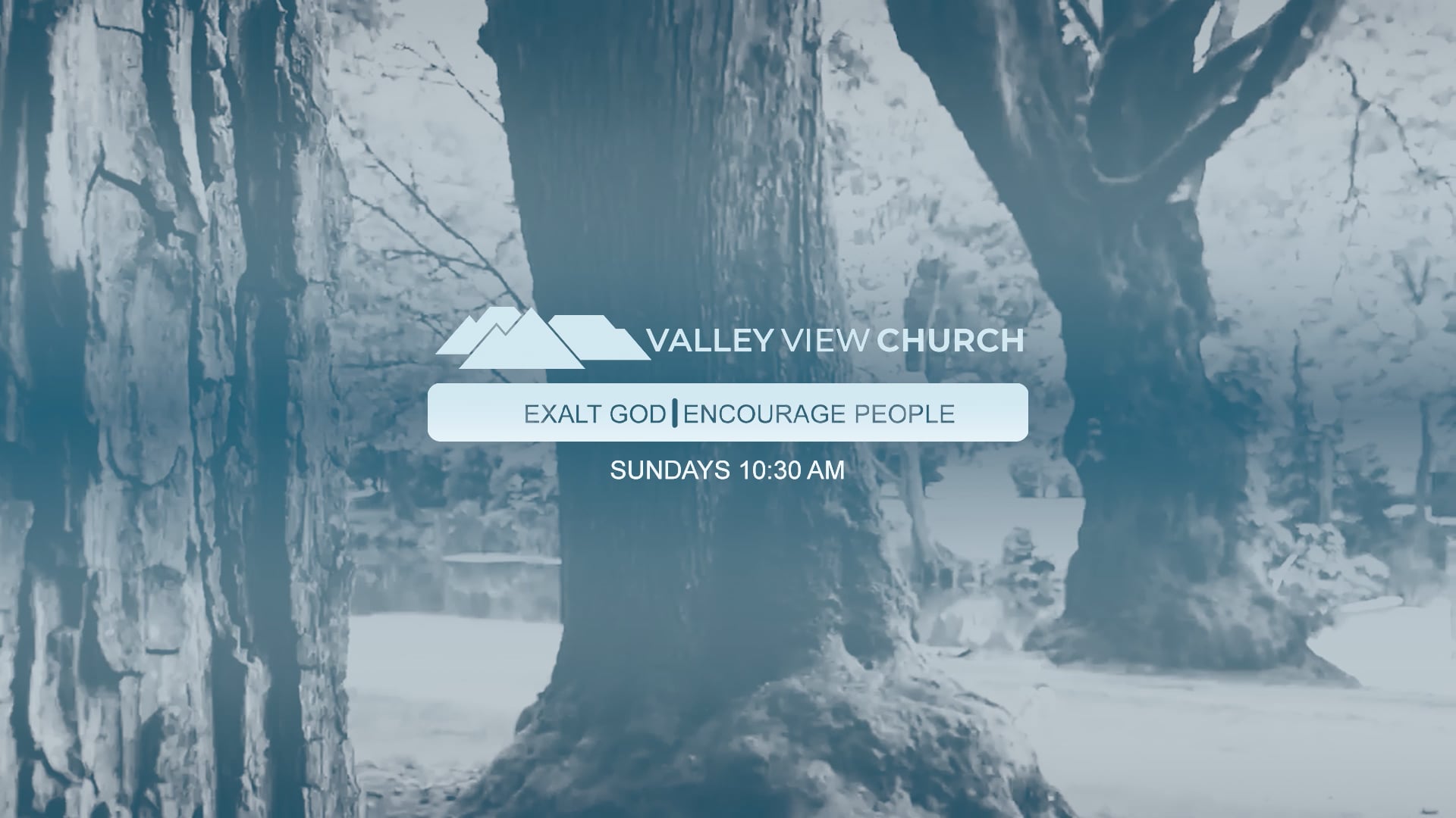 Valley View Church in Longview - Valley View Church