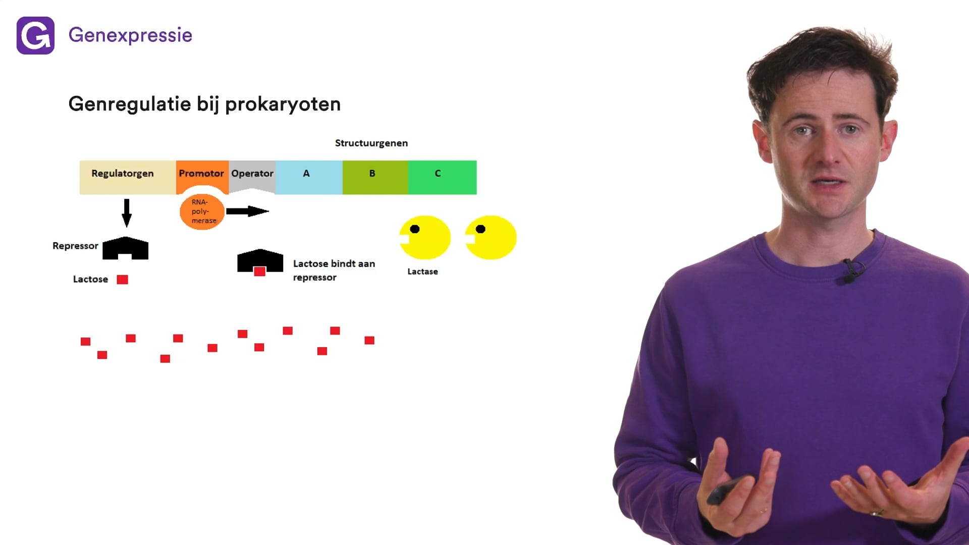 Oefen met DNA uit Biologie voor jou / bvj – 5 vwo – 7 | StudyGo