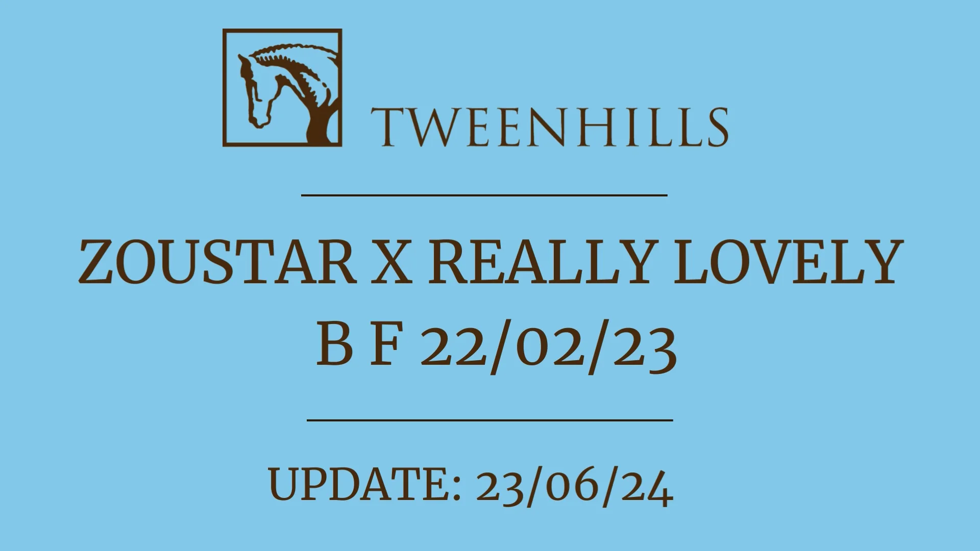 ZOUSTAR X REALLY LOVELY'23- UPDATE 23 06 24 (2)