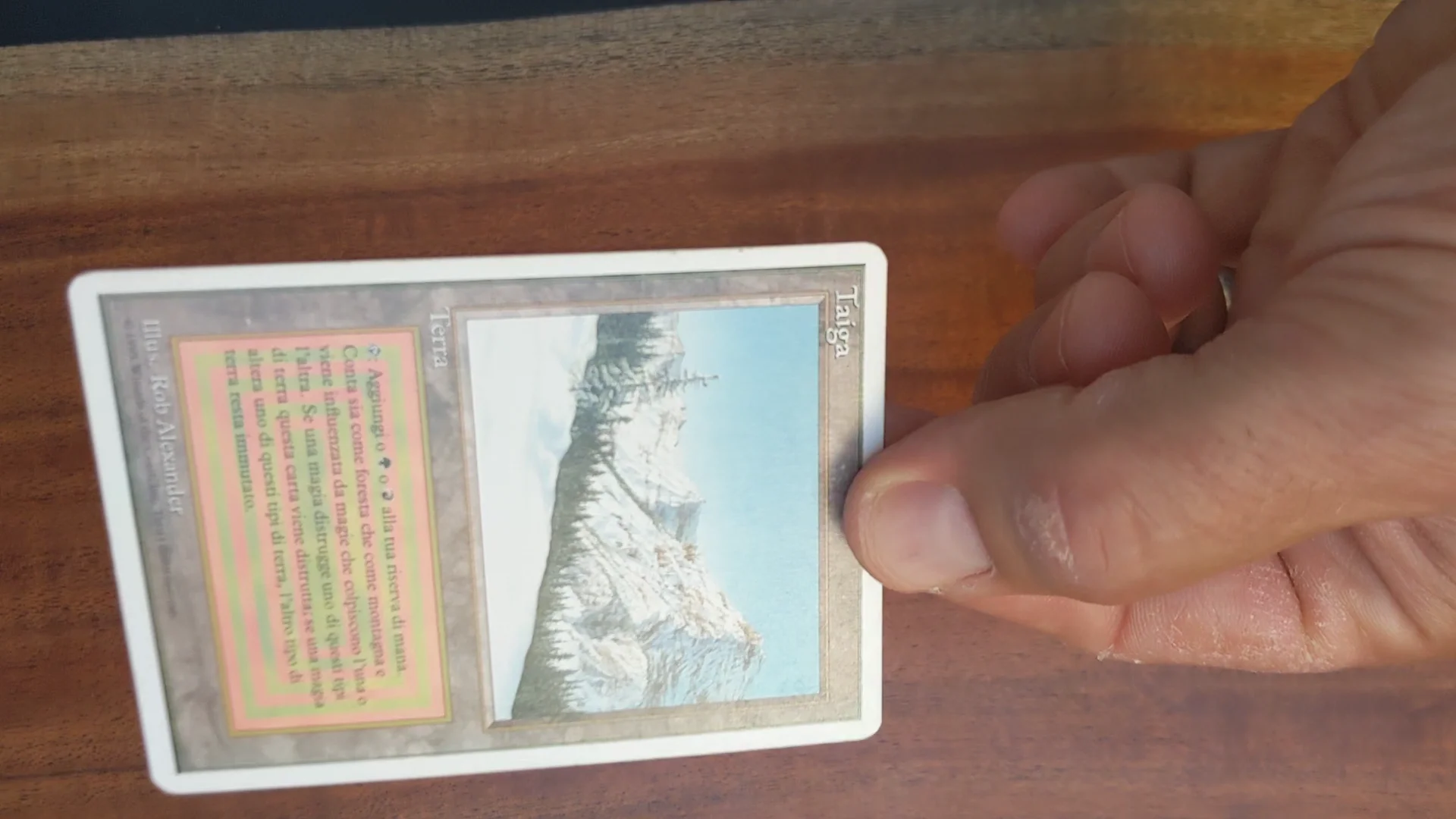 Magic MTG FWB Taiga Italian on Vimeo