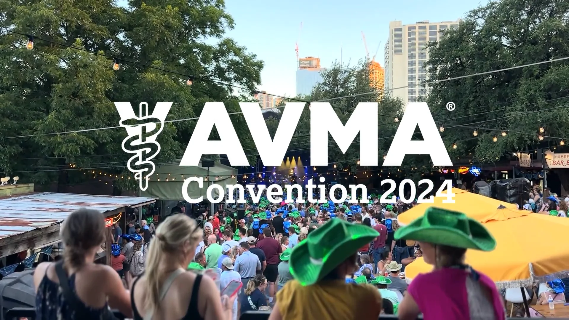 AVMA 2024 Recap on Vimeo