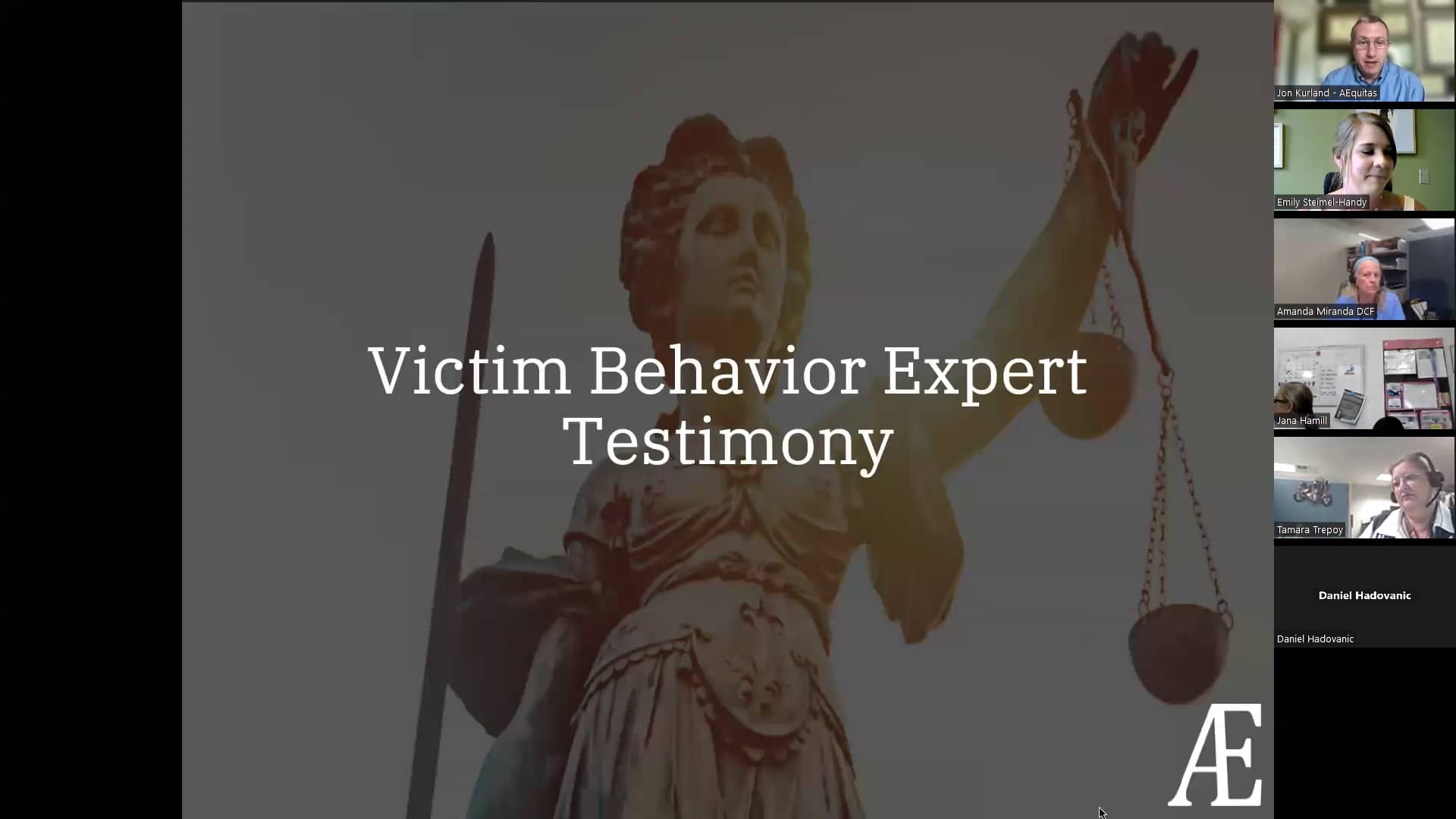 Understanding and Explaining Victim Behavior on Vimeo