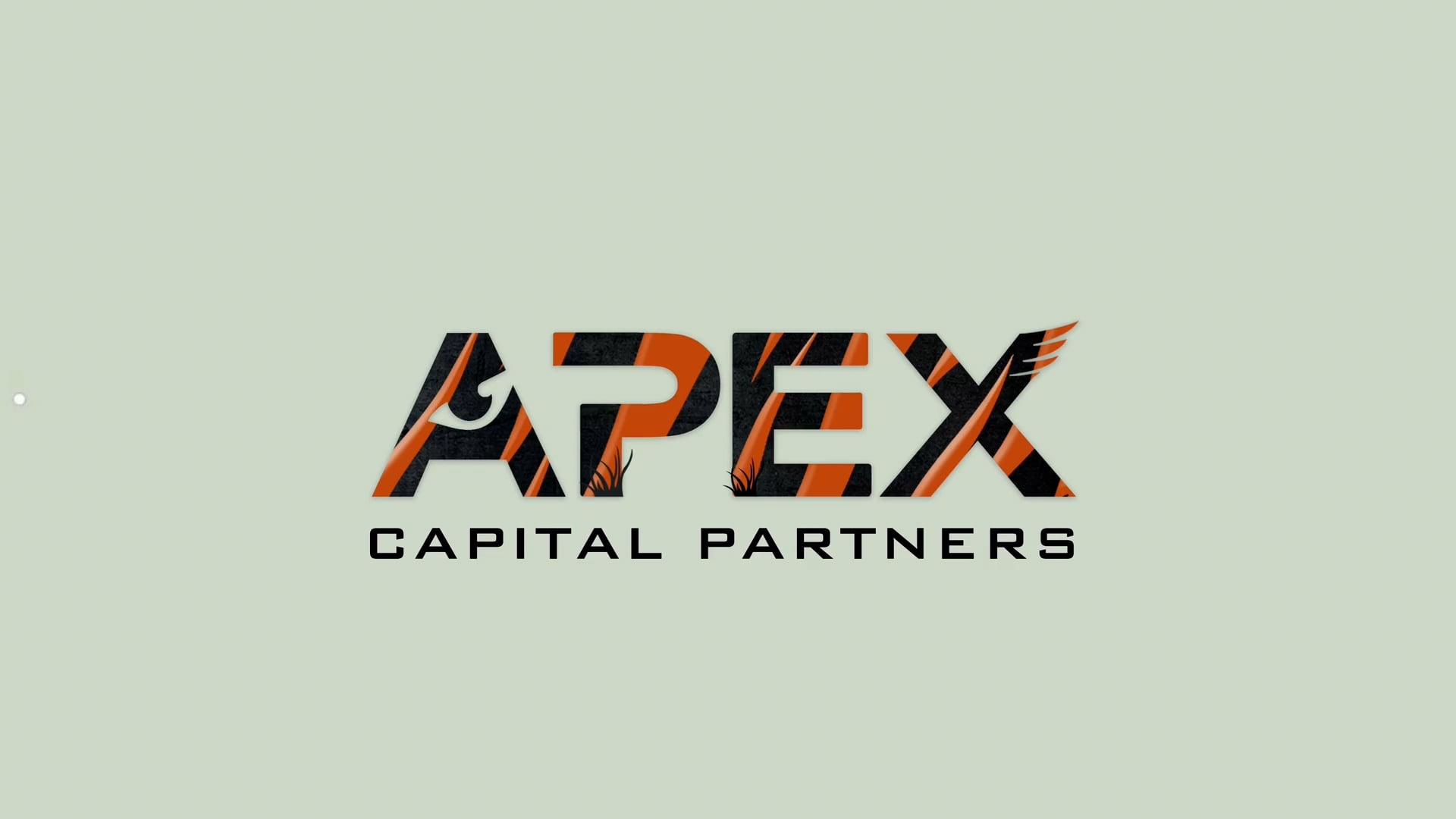Apex Capital Partners
